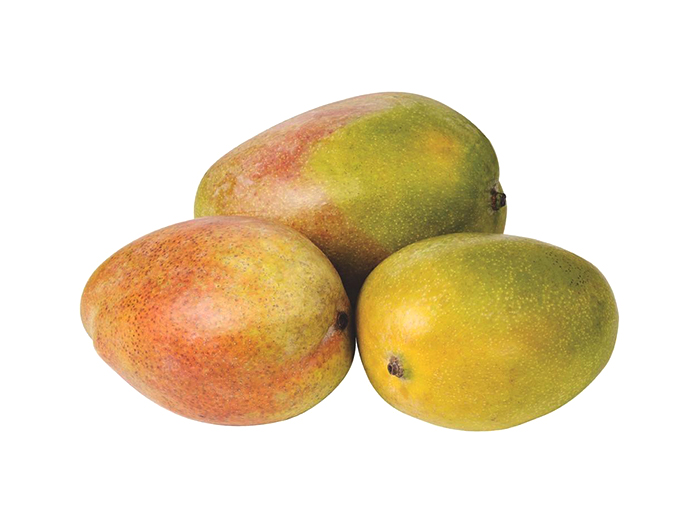 Arabind FRESH :: Buy FRESH Fish, Meat, Poultry, Fruits & Vegetables ...