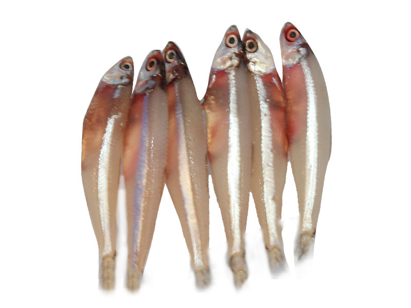 Arabind FRESH :: Buy FRESH Fish, Meat, Poultry, Fruits & Vegetables ...