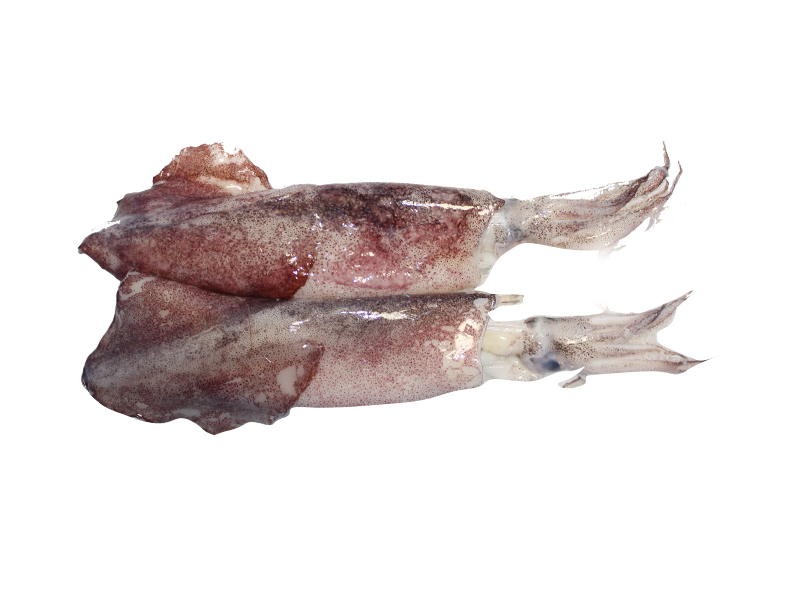 Arabind FRESH :: Buy FRESH Fish, Meat, Poultry, Fruits & Vegetables ...