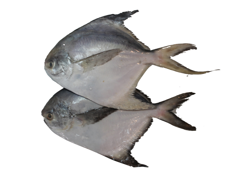 Arabind FRESH :: Buy FRESH Fish, Meat, Poultry, Fruits & Vegetables ...