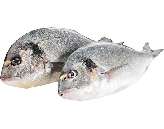 Arabind FRESH :: Buy FRESH Fish, Meat, Poultry, Fruits & Vegetables ...