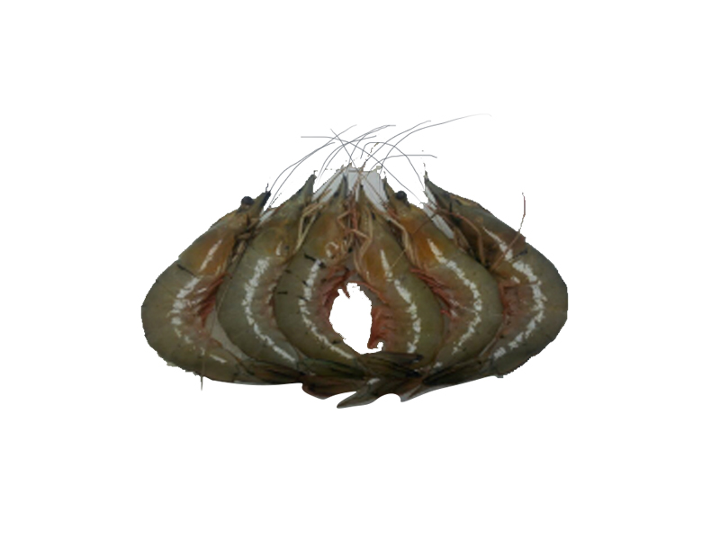 Arabind FRESH :: Buy FRESH Fish, Meat, Poultry, Fruits & Vegetables ...