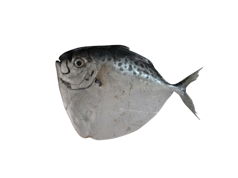 Arabind FRESH :: Buy FRESH Fish, Meat, Poultry, Fruits & Vegetables ...