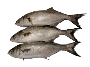 Arabind FRESH :: Buy FRESH Fish, Meat, Poultry, Fruits & Vegetables ...