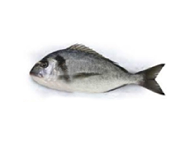 Arabind FRESH :: Buy FRESH Fish, Meat, Poultry, Fruits & Vegetables ...