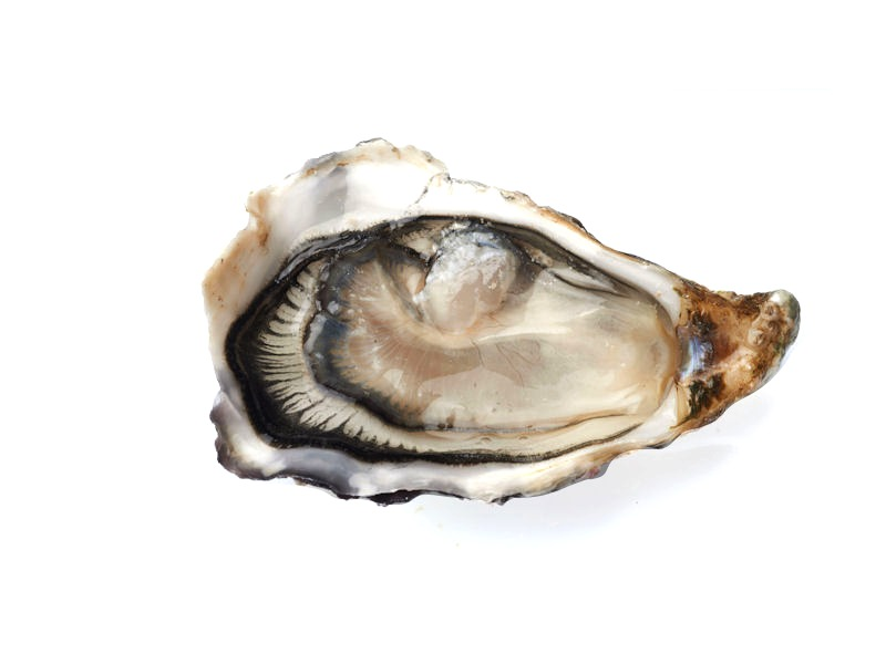 Arabind FRESH :: Buy FRESH Fish, Meat, Poultry, Fruits & Vegetables ...