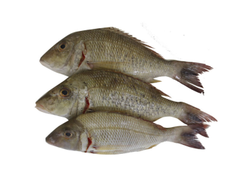 Arabind FRESH :: Buy FRESH Fish, Meat, Poultry, Fruits & Vegetables ...