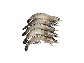 Arabind FRESH :: buy fish and meat online