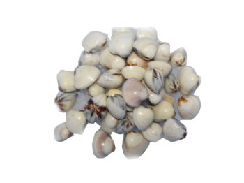 Arabind FRESH :: Buy FRESH Fish, Meat, Poultry, Fruits & Vegetables ...